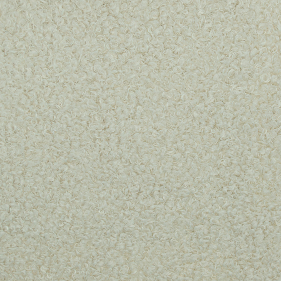 Teddy Bone 08994 Fabric by Europatex - Fabric World